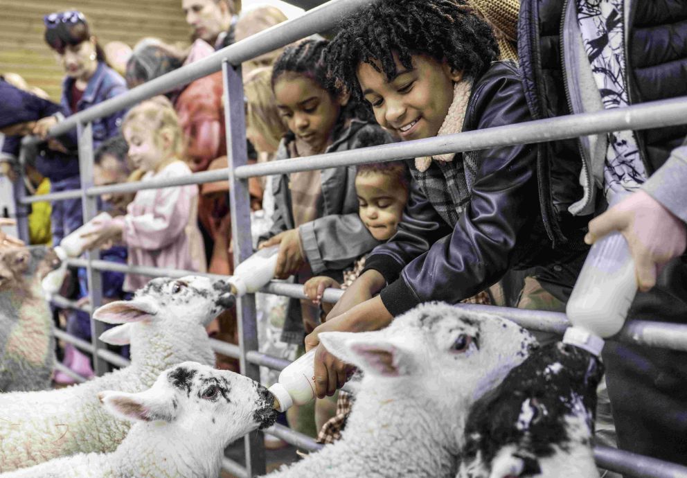Easter Circus - Mead Open Farm