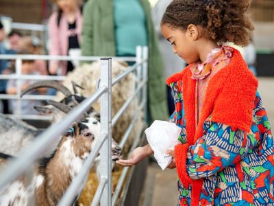 Welcome To Mead Open Farm