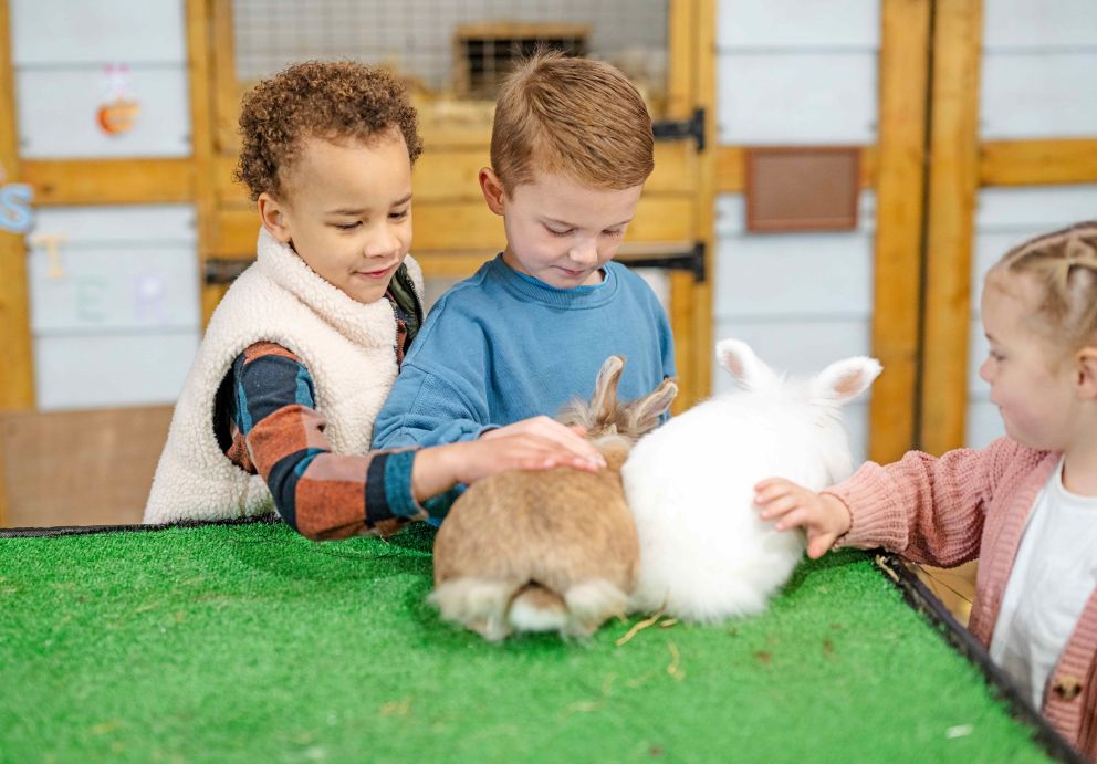 Welcome To Mead Open Farm