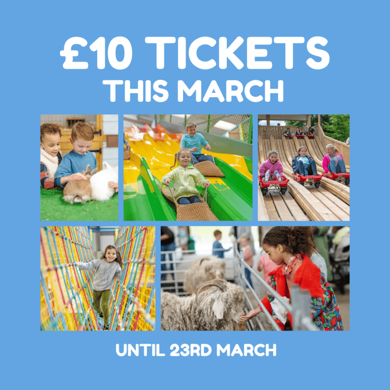 Welcome To Mead Open Farm