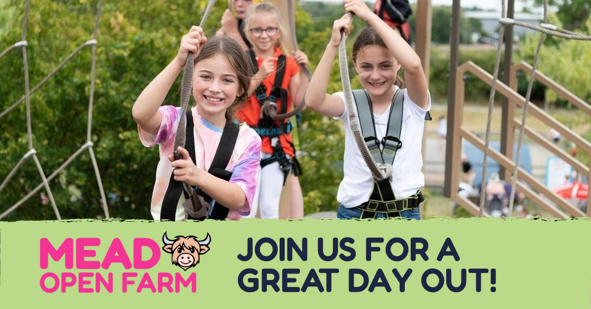 Outdoor Play at Mead Open Farm. It's Time for an Adventure!